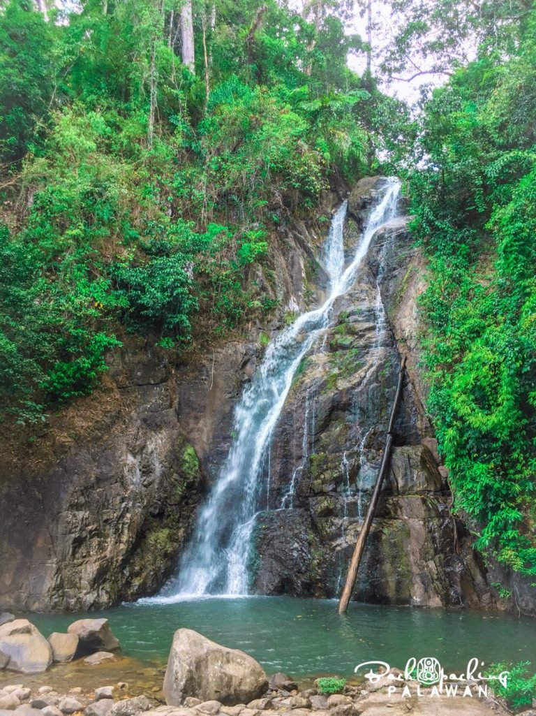 Exploring Southern Palawan: Bataraza’s Alluring Kapangyan Falls