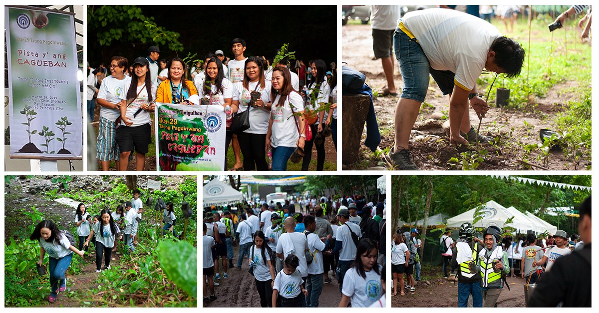 PYAC has planted 2 million trees in 29 years