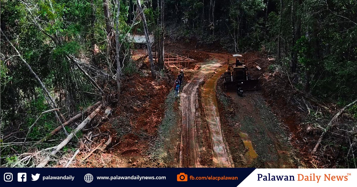 City ENRO proposes protocol to safeguard city’s forest and core zones