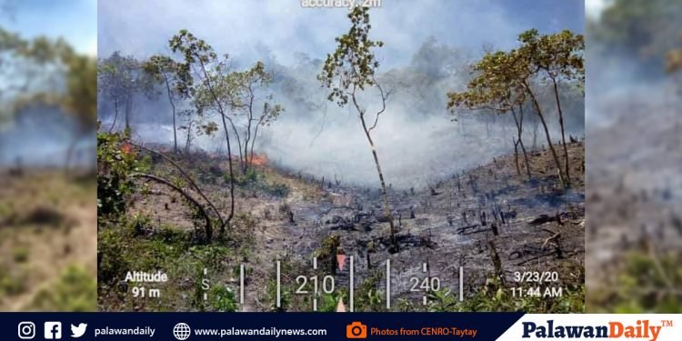 DENR investigates kaingin in Taytay town