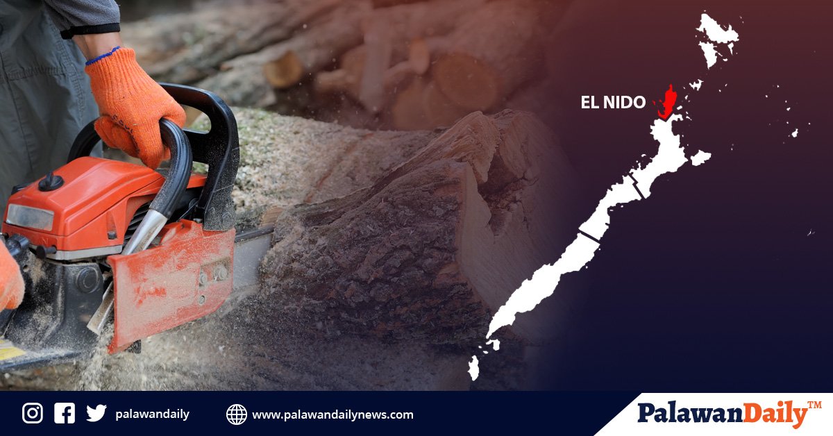 Four arrested for alleged Chainsaw Act violation