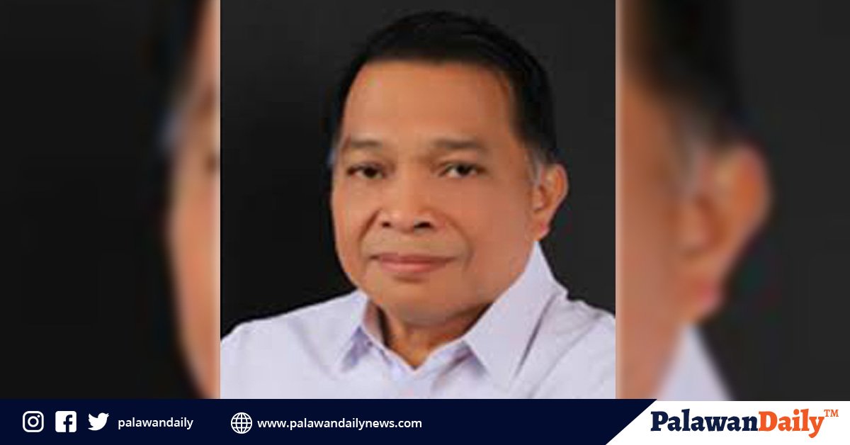 Libreng sakay ng Puerto Princesa, sinaluduhan ng DOTr