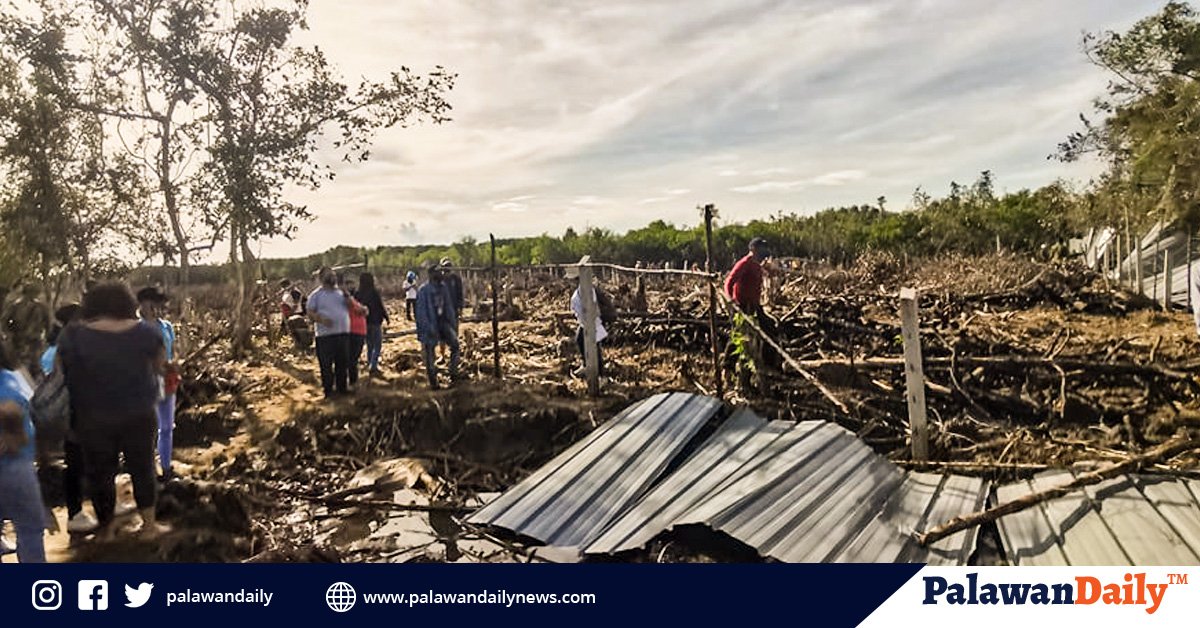 Government agencies join hands to help save and protect mangroves
