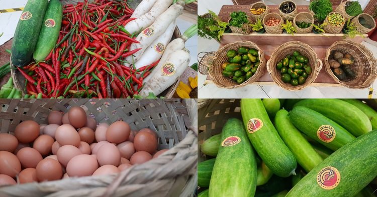 Local product expo, Shop Palawan opens in SM City Puerto Princesa