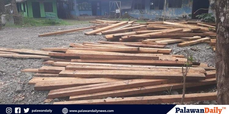 5,000 board feet na mga kahoy nakumpiska sa Quezon Palawan, isa sa mga ...