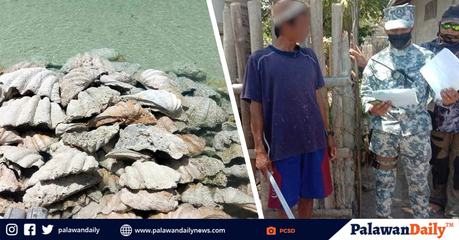 P1.2-B halaga ng taklobo shells, nakumpiska sa Green Island, Roxas