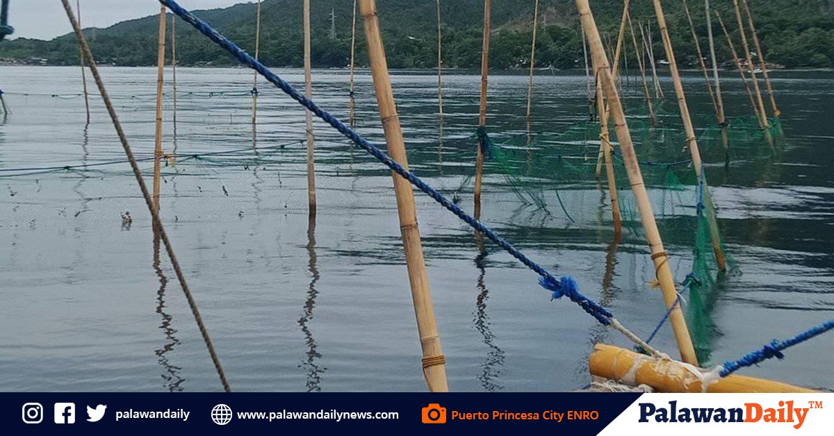 City ENRO Enforcement Division-Bantay Dagat starts demolition of baklad