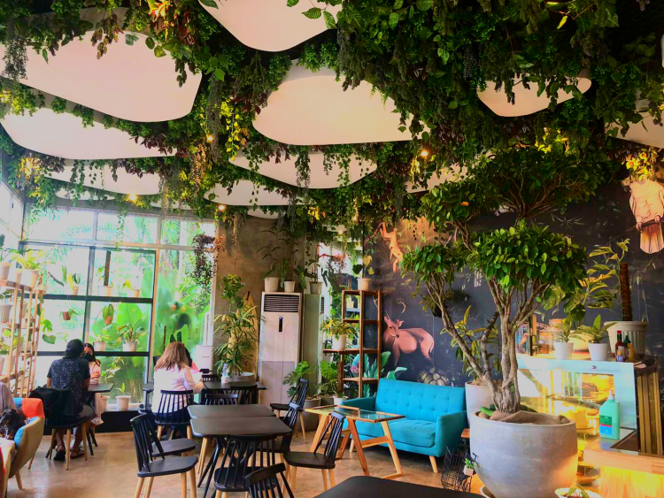 The Hive Café: the cup of southern brew