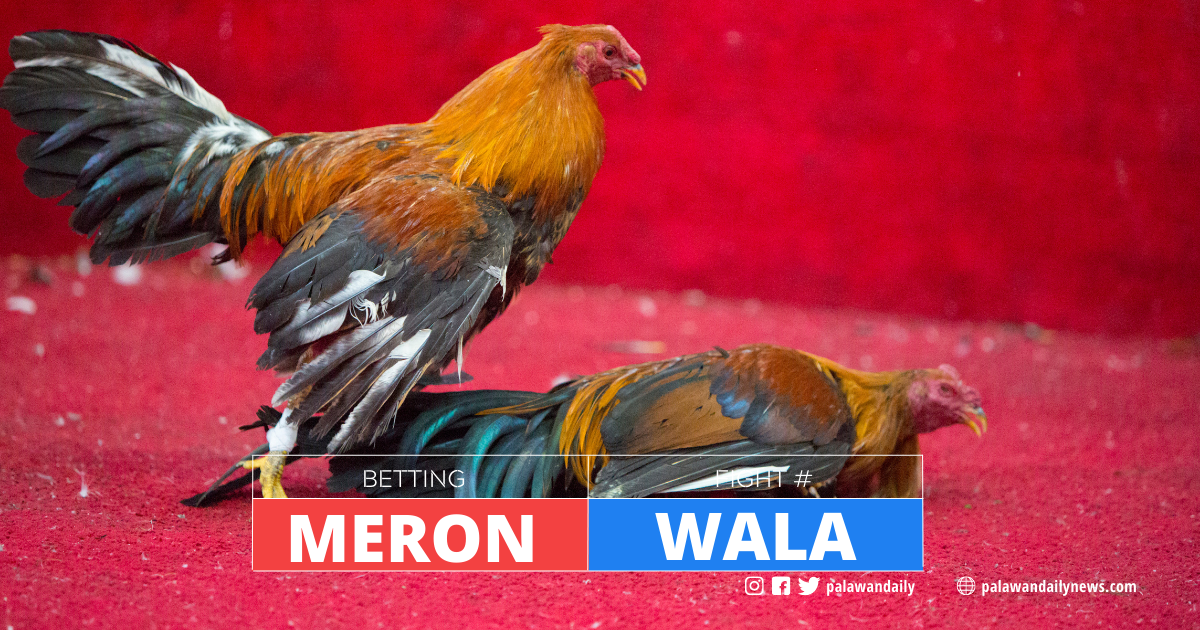 E-sabong operations may lead to arrests, DILG warns