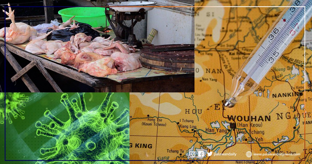 Recent studies show animals sold at Wuhan ‘might have what started ...
