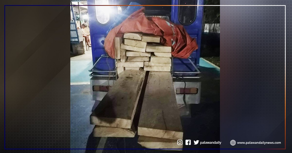 Dalawang lalaki, arestado sa pagpuslit ng kahoy na walang papeles