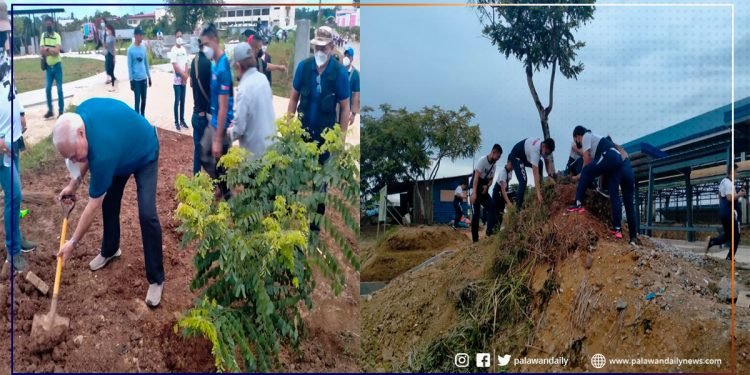 Balayong Tree Planting and Nurturing Festival, matagumpay na nailunsad ...