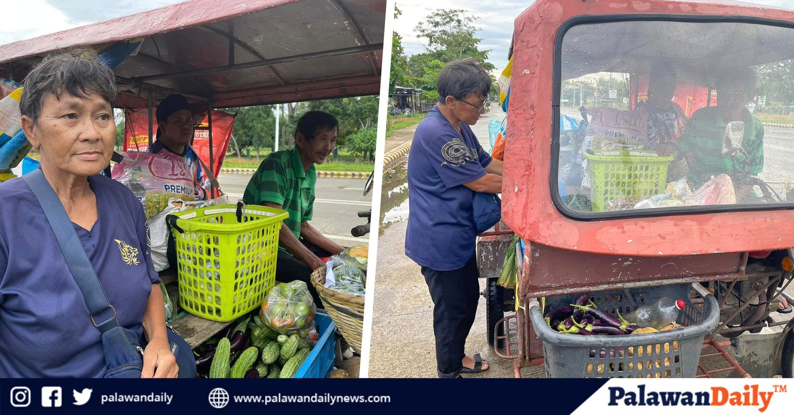 Against all odds: Senior couple's tricycle vegetable business support ...