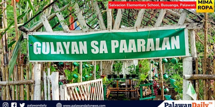 29 beneficiaries of 4Ps Gulayan sa Paaralan project transform school ...