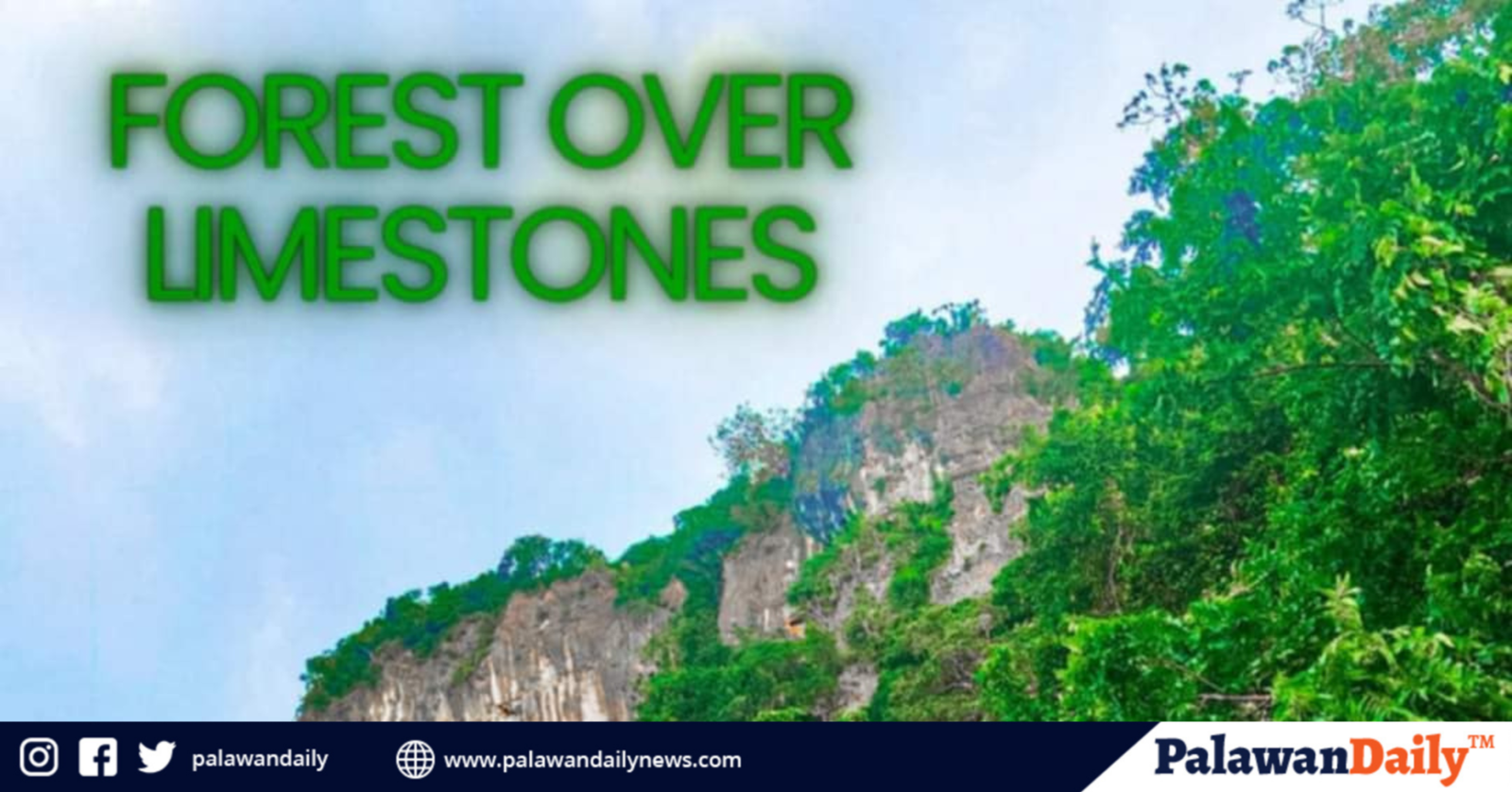 Gubat sa batong apog: kahalagahan at kagandahan