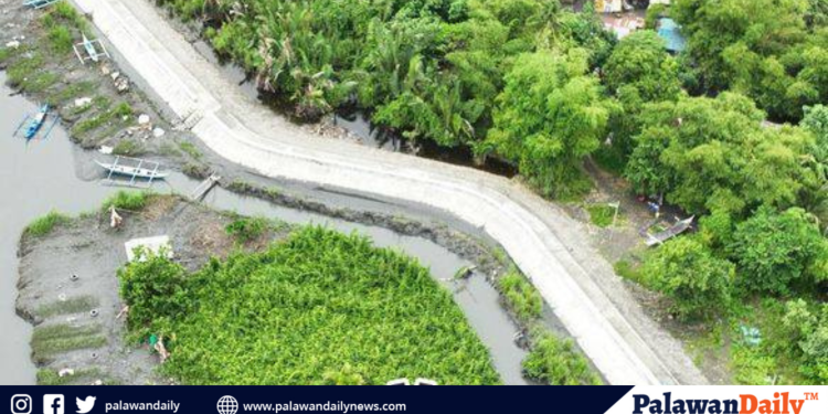 Improved access and economic opportunities for narra farmers with new road project