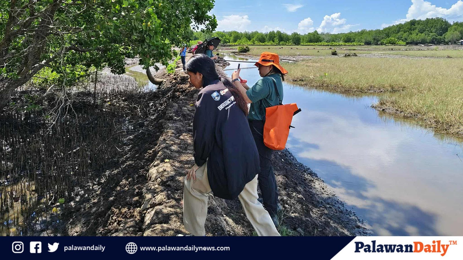 Catholic church's IP apostolate arm to launch mangroves conservation