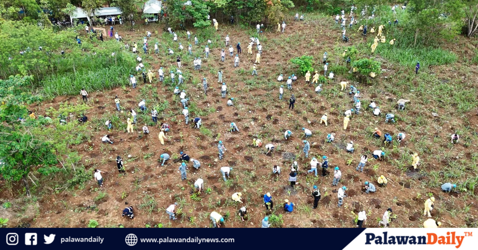 CBNC plants over 5,000 Palawan endemic trees to mark World Environment Day